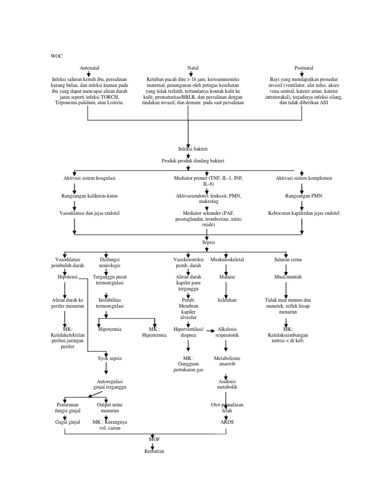 Woc Sepsis | PDF