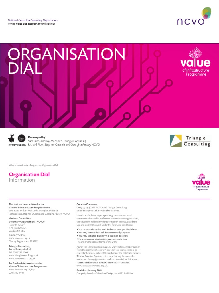 Organisational Dial Tool For VIP | PDF | Strategic Management | Leadership