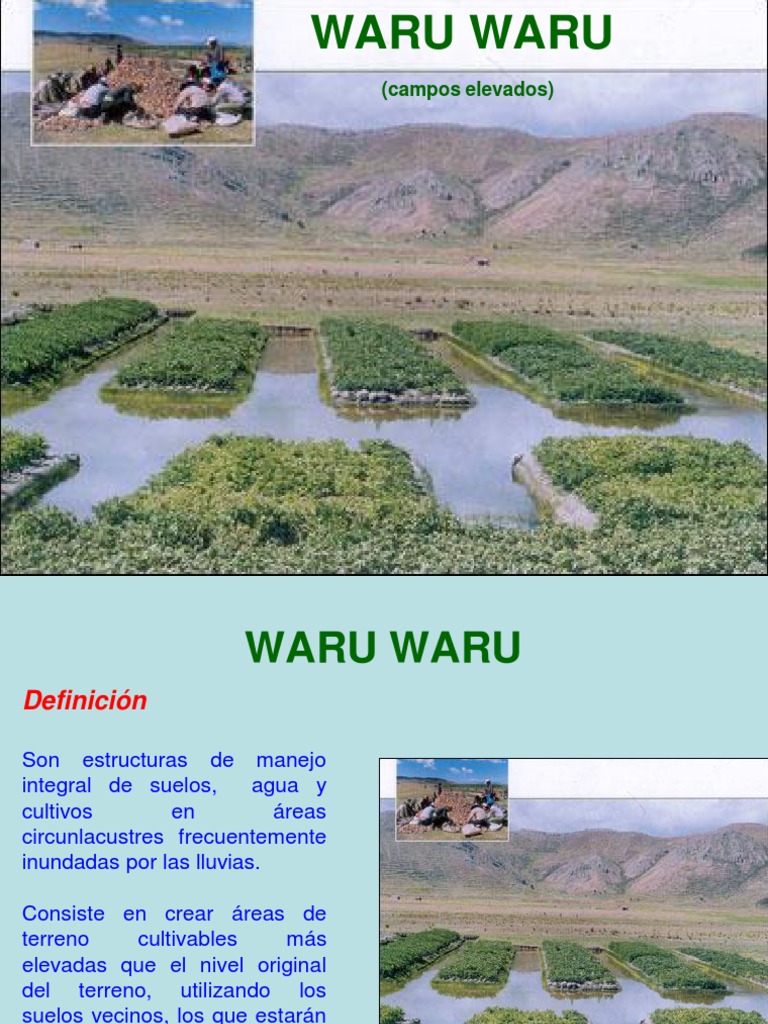 9 Waru Waru | PDF | Agricultura | Agua