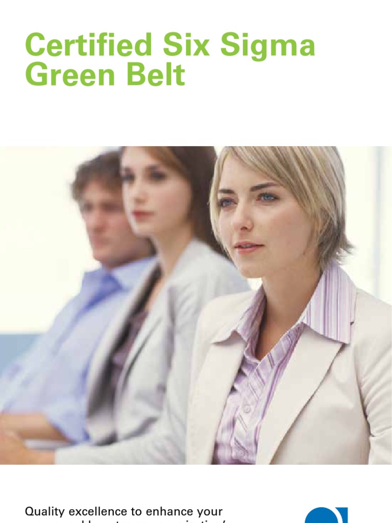 CSSGB Insert 2013 | PDF