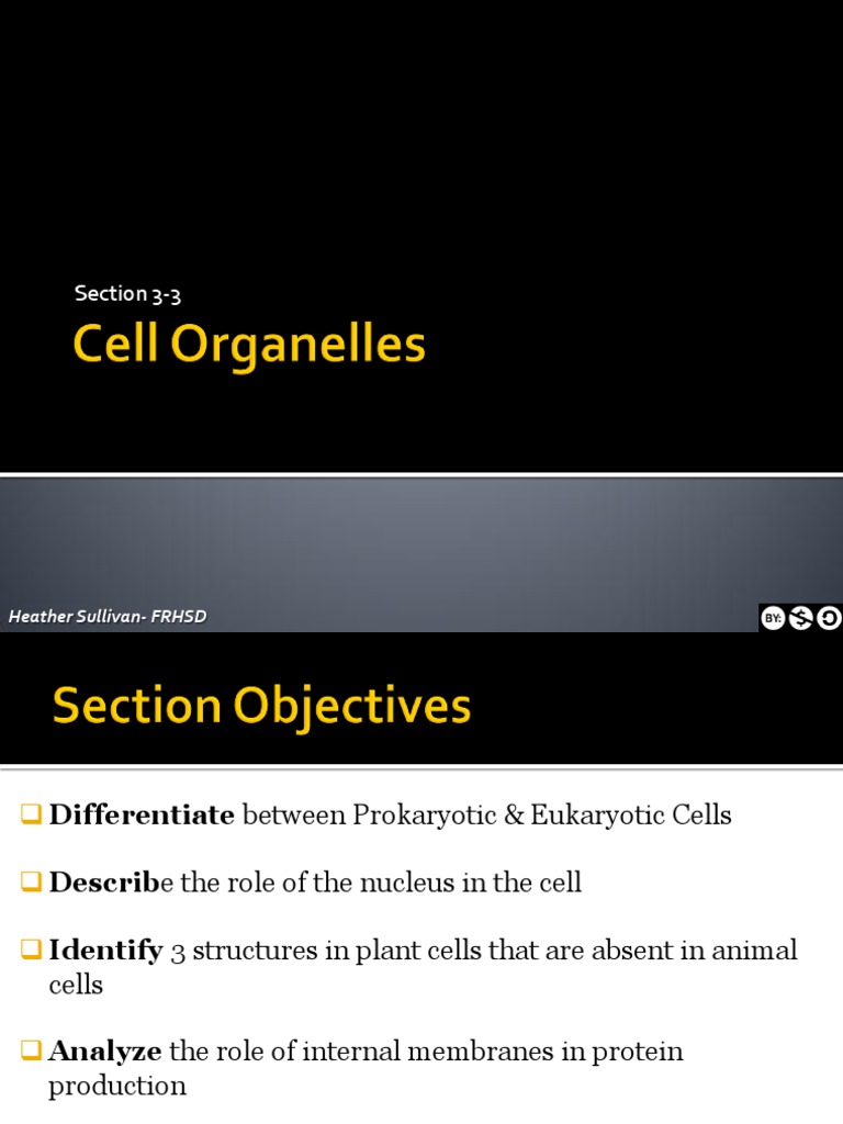 3 3 Cell Organelles PPT 1193949429900273 1 | Download Free PDF | Cell ...