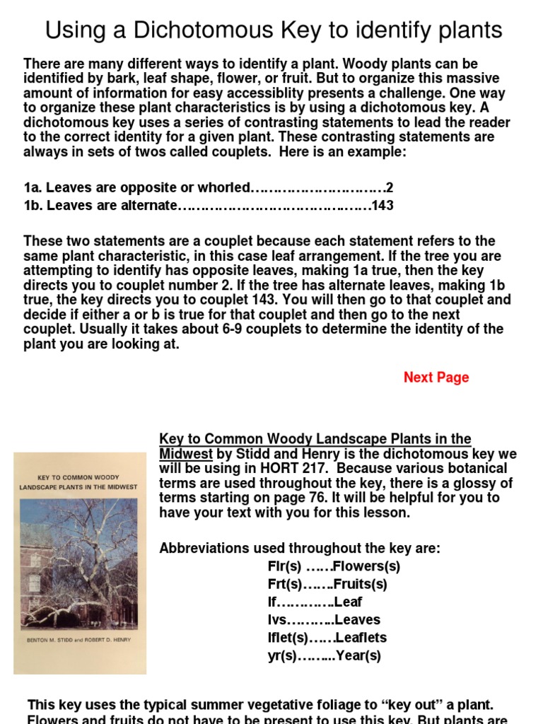 Identifying Plants with a Dichotomous Key | PDF | Pine | Flowers