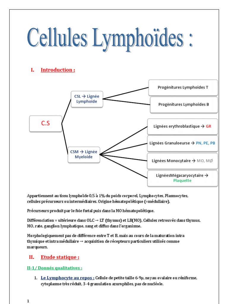Cellules Lymphoïdes | Lymphocyte | Antigène