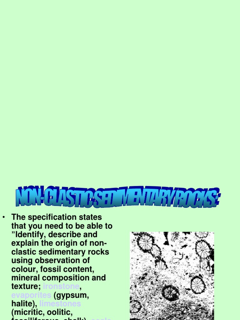 Lecture SR7-Non- Clastic Sedimentary Rocks | Limestone | Sedimentary Rock