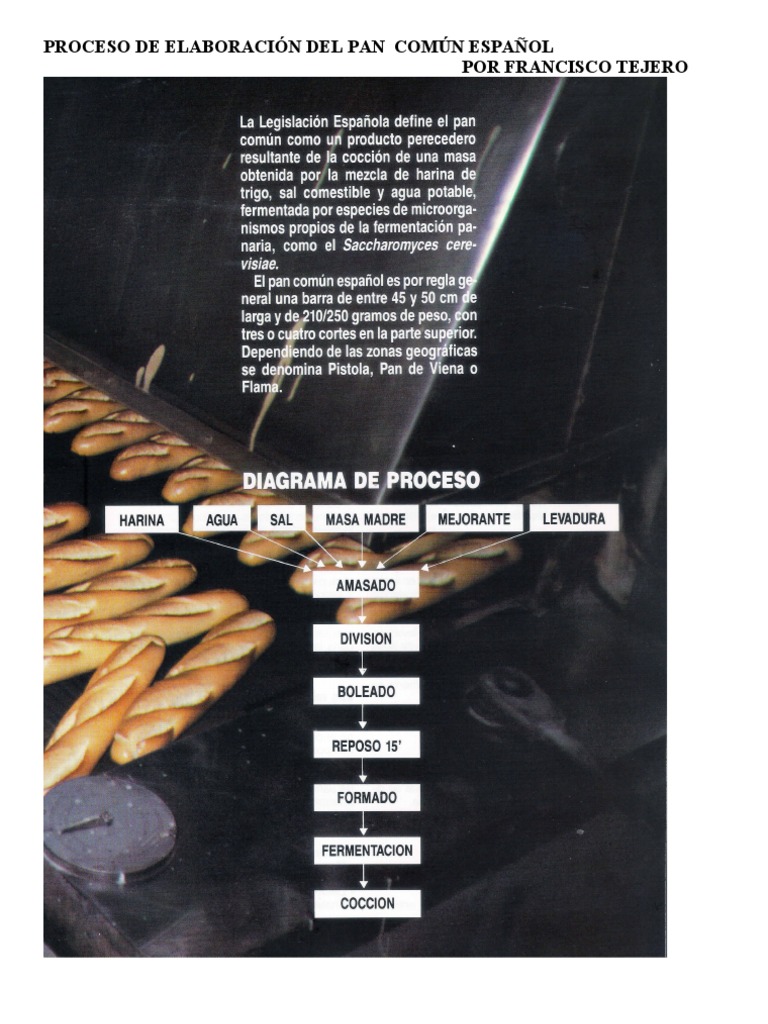 Elaboracion Del Pan Comun Español | PDF | De masa fermentada | Panes