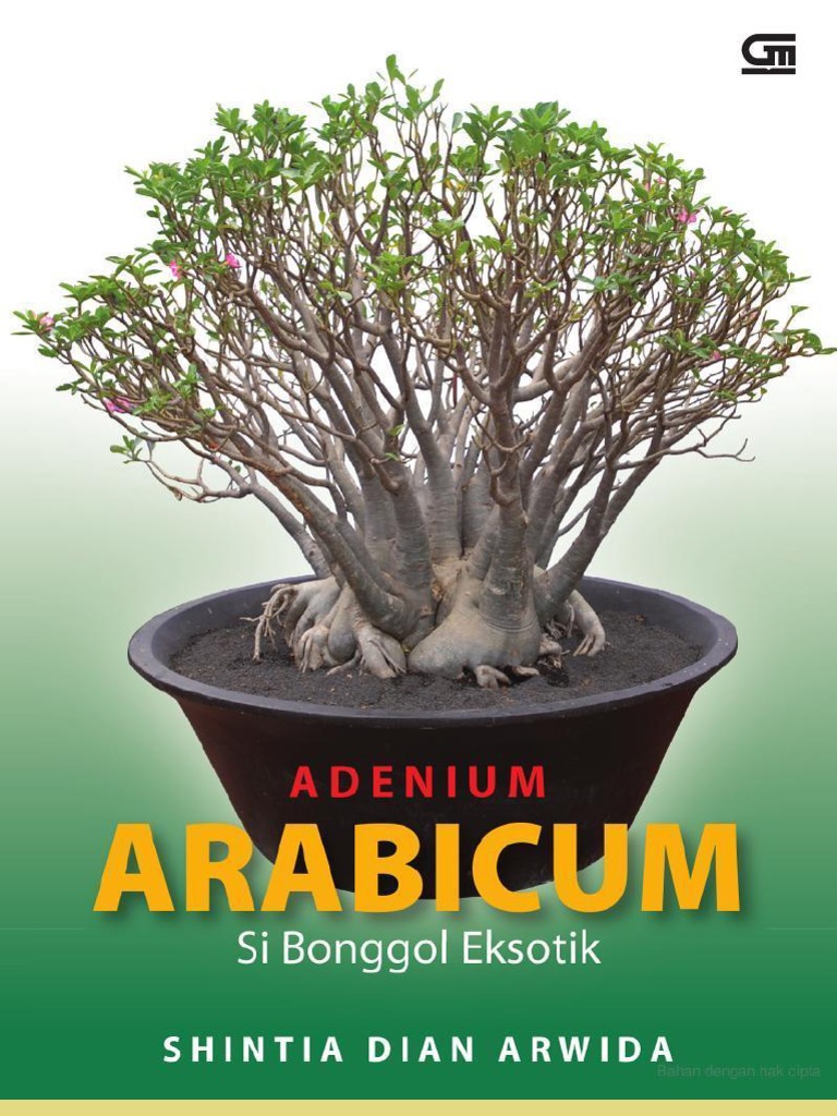 Adenium Arabicum | PDF
