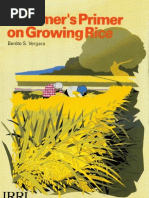1 - Growth Stages of The Rice Plant | PDF | Germination | Root
