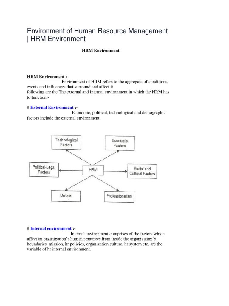 HRM in A Changing Environment | PDF | Employment | Labour Economics