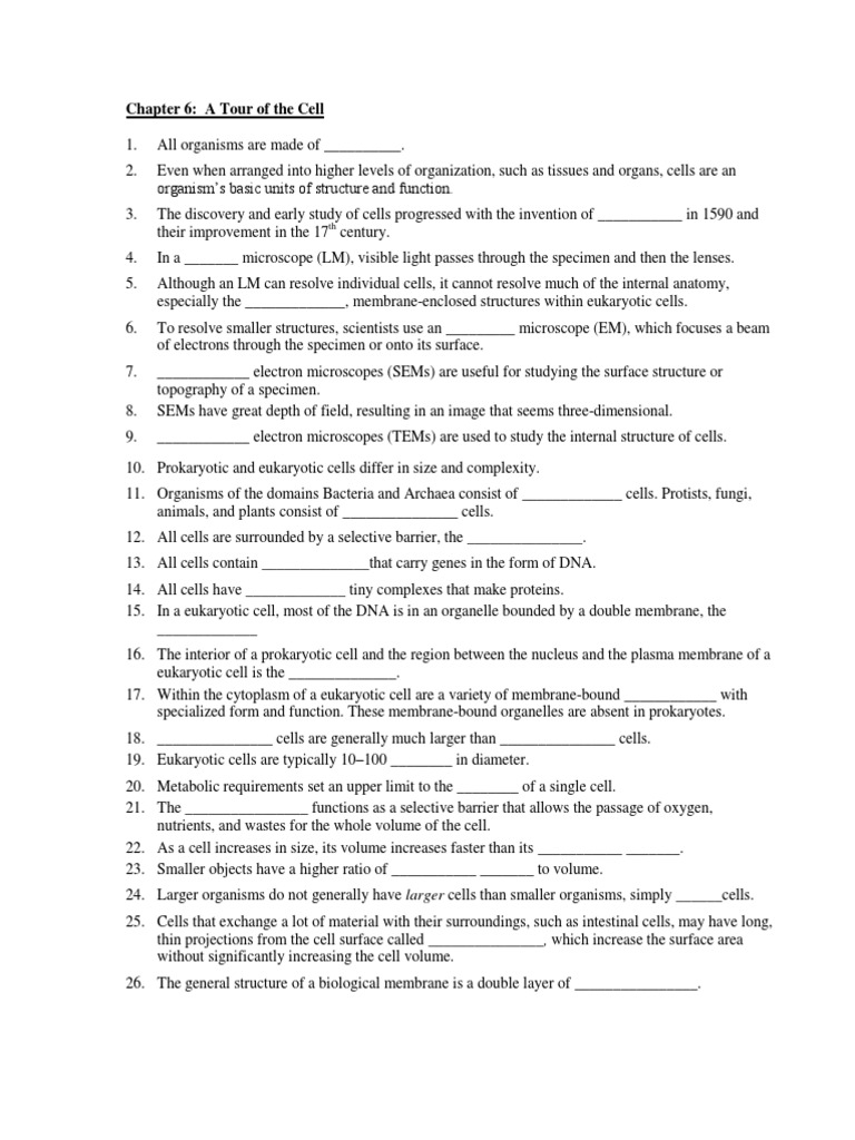 Chapter 6 - The Cell - Worksheet | PDF | Endoplasmic Reticulum | Lysosome