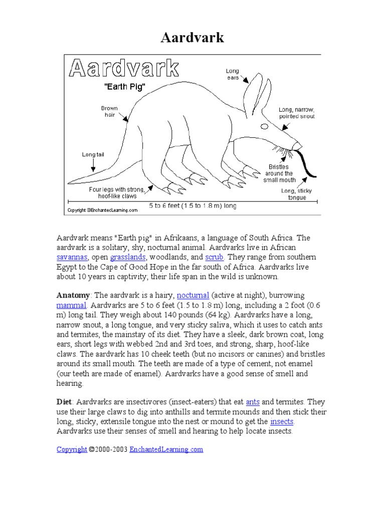 Aardvark | PDF | Mammals | Organisms