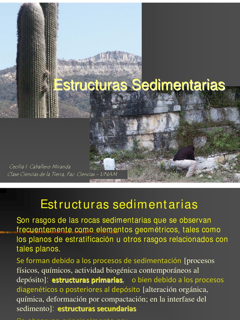 Estructuras Primarias en Rocas Sedimentarias | PDF | Estrato | Fósil