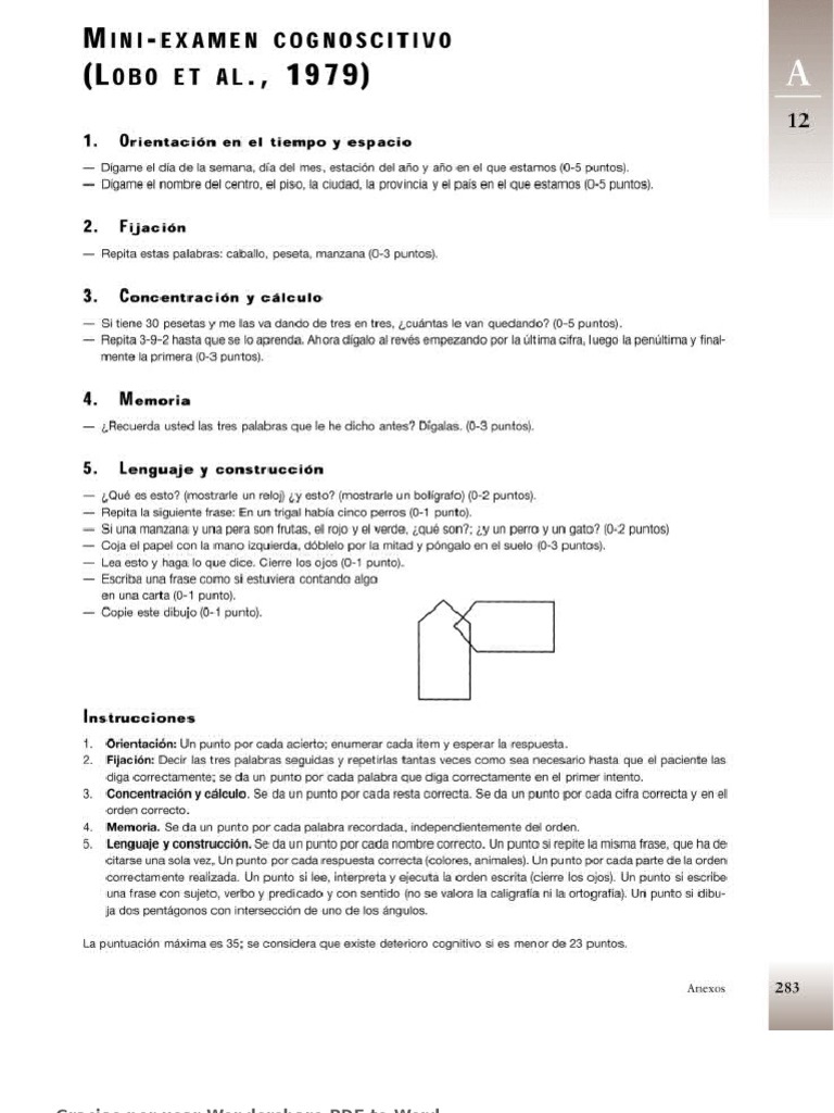 Lobo Test | PDF | Software | Software de la aplicacion