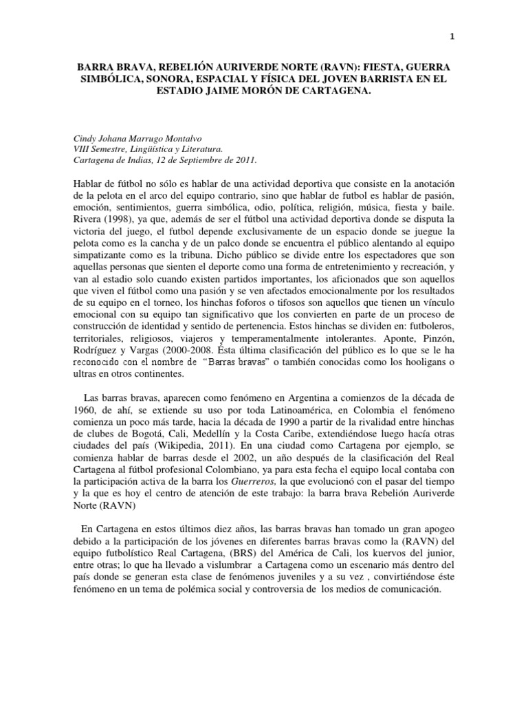 Barra Brava | PDF | Asociación de Futbol | Deportes