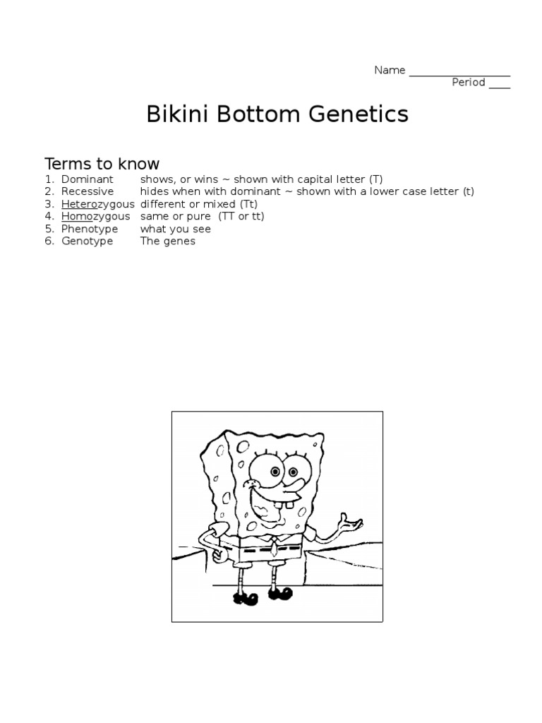 Bikini Bottom Genetics Worksheet | PDF | Genotype | Dominance (Genetics)