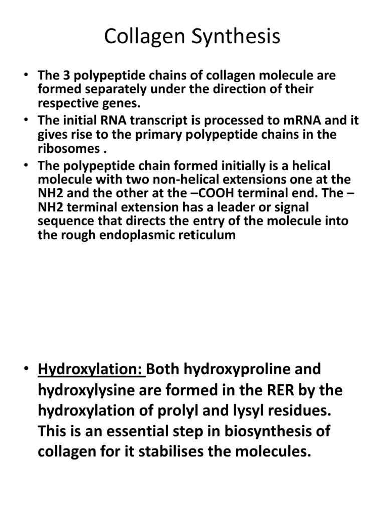 Collagen Synthesis