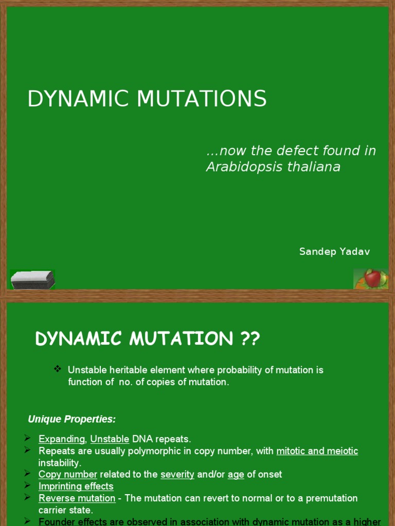 Dynamic Mutation A Trinucleotide Repeat Disorder | PDF | Mutation ...