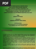 Micro, Matro y Macroambiente PDF | PDF | El embarazo | Embarazo Mamífero