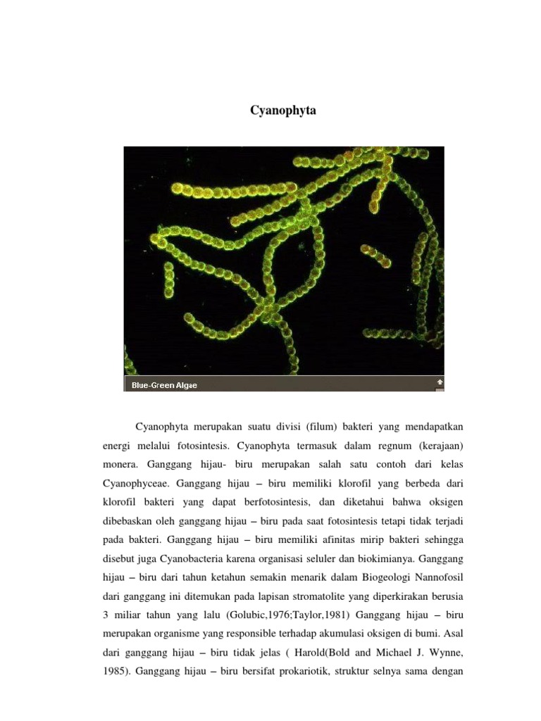 Cyanophyta Merupakan Suatu Divisi | PDF | Griya & Taman | Sains & Matematika