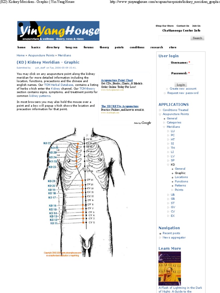 (KD - ) Kidney Meridian - Grap... | PDF | Traditional Chinese Medicine ...