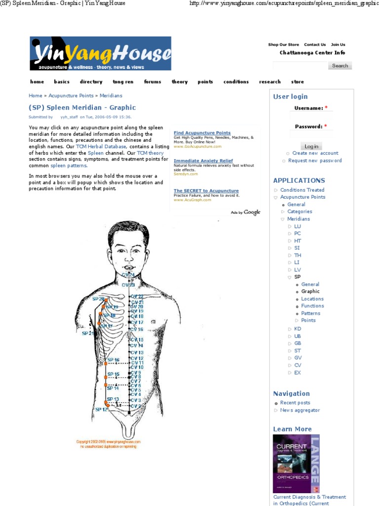 _(SP_) Spleen Meridian - Grap... | Traditional Chinese Medicine | Acupuncture