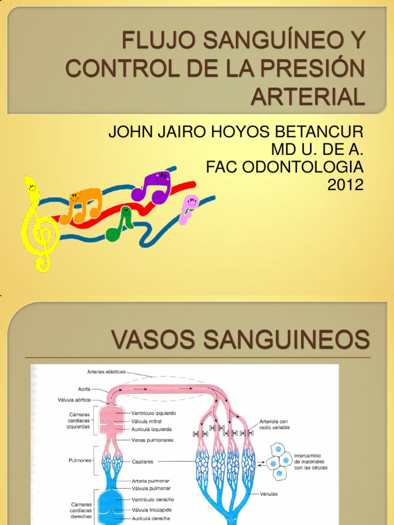 FLUJO SANGUÍNEO Y CONTROL DE LA PRESIÓN ARTERIAL | Artería | Hemodinámica