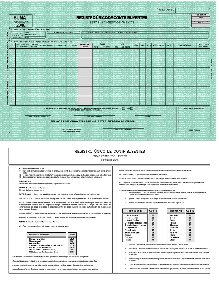 Form-2046 - Establecimientos Anexos | PDF