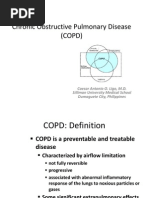 Respiratory Inhaler Identification Chart | PDF | Pharmaceutical ...