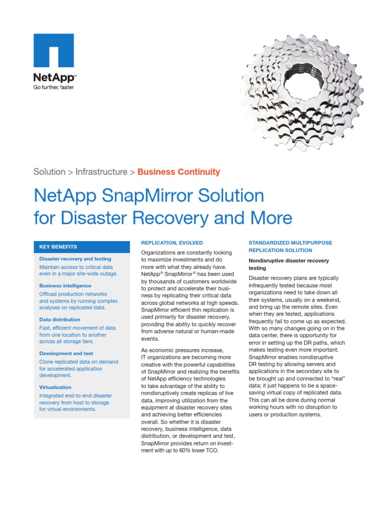Netapp Snapmirror Pdf Replication Computing Computer Data Storage