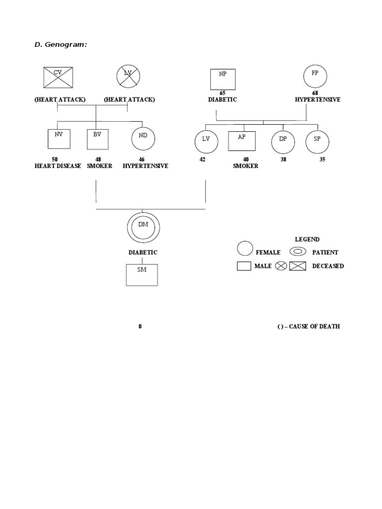 Genogram Case Study Overview | PDF