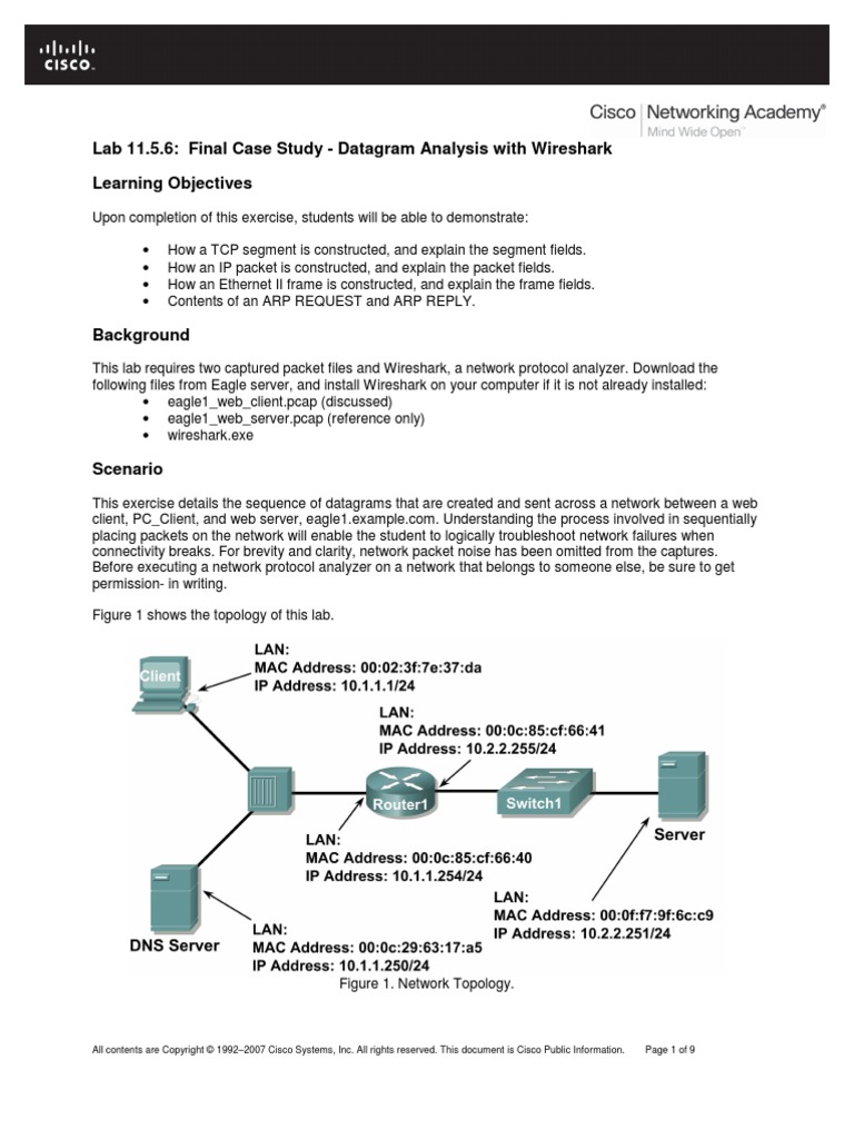 Lab | PDF | Transmission Control Protocol | Domain Name System