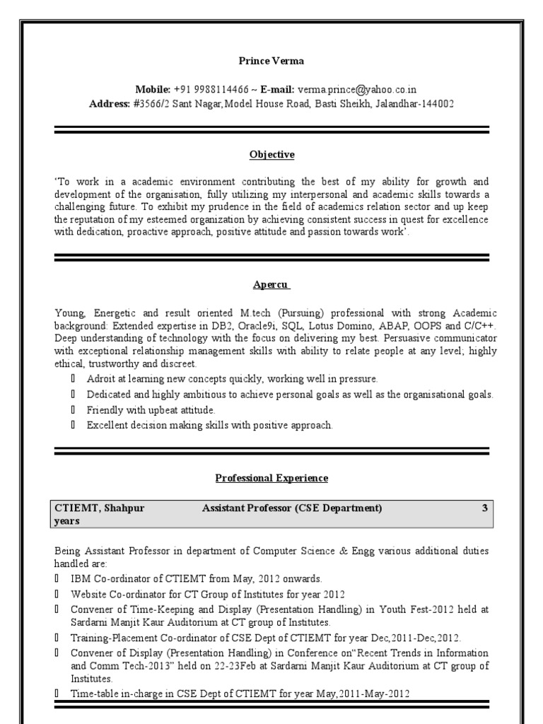 Prince CV | PDF | Databases | Computing