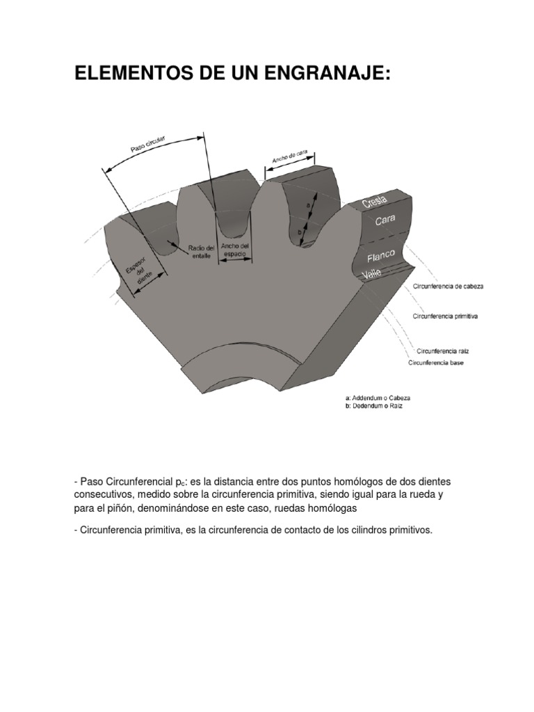 Partes y elementos de un engranaje | PDF | Engranaje | Física