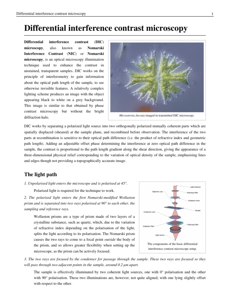 Differential Interference Contrast Microscopy