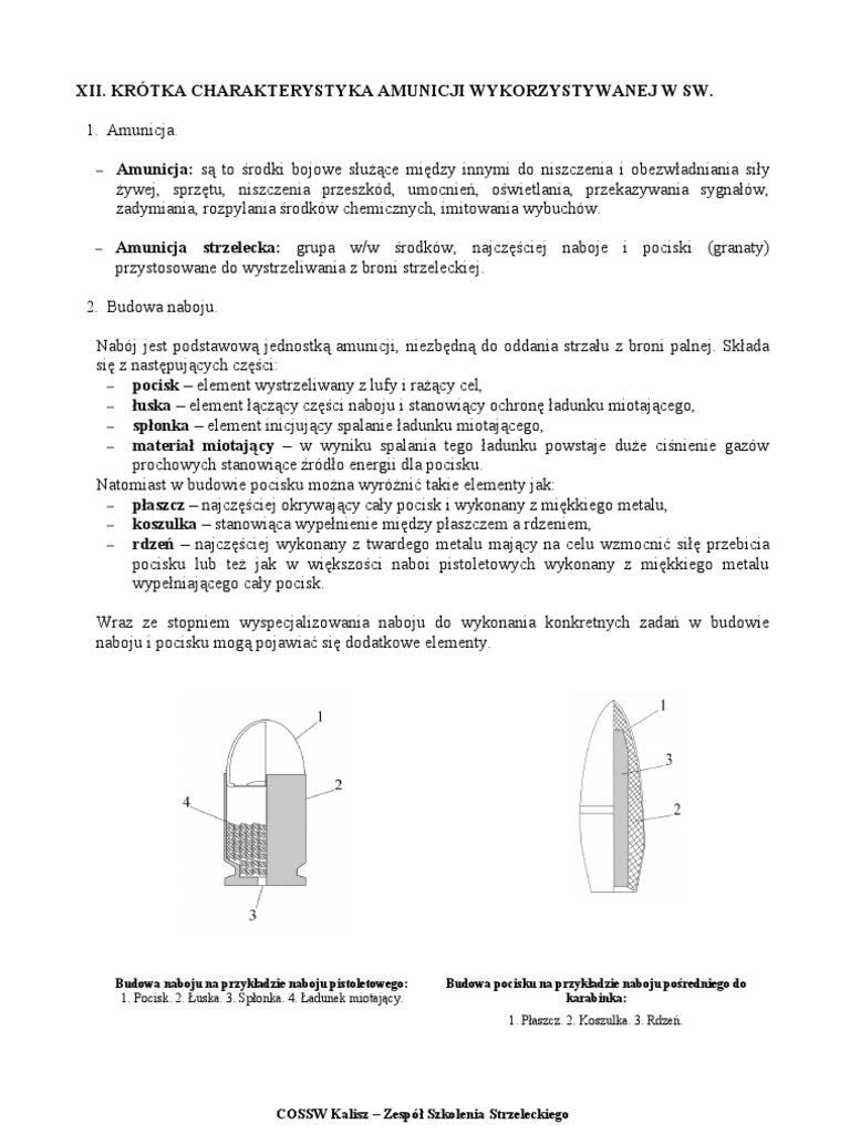 Rodzaje Amunicji | PDF