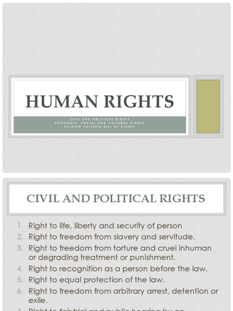 Human Rights Document Summary | PDF | Human Rights | Liberty