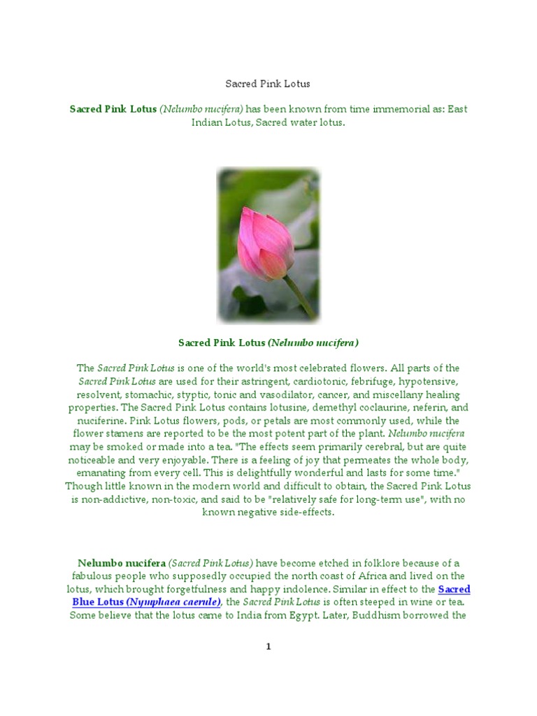 Sacred Pink and Blue Lotus | PDF | Seed | Plants