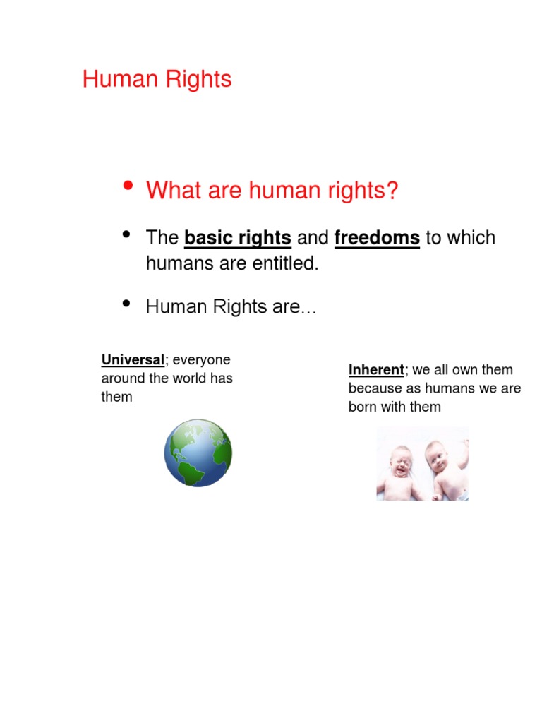 Human Rights Revision Worksheeet | PDF | Human Rights | Natural And ...