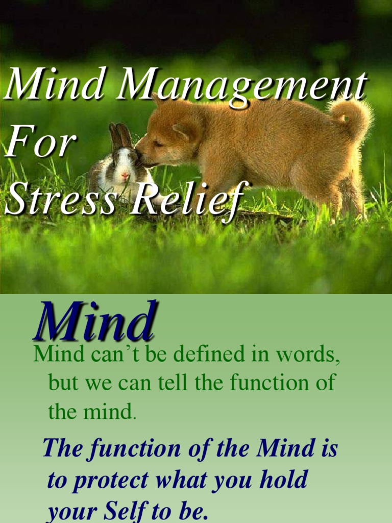 Mind Management For Stress Relief | PDF | Stress (Biology ...