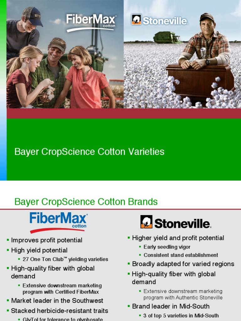 FiberMax and Stoneville Cotton - Cotton Varieties | PDF | Bayer | Cotton