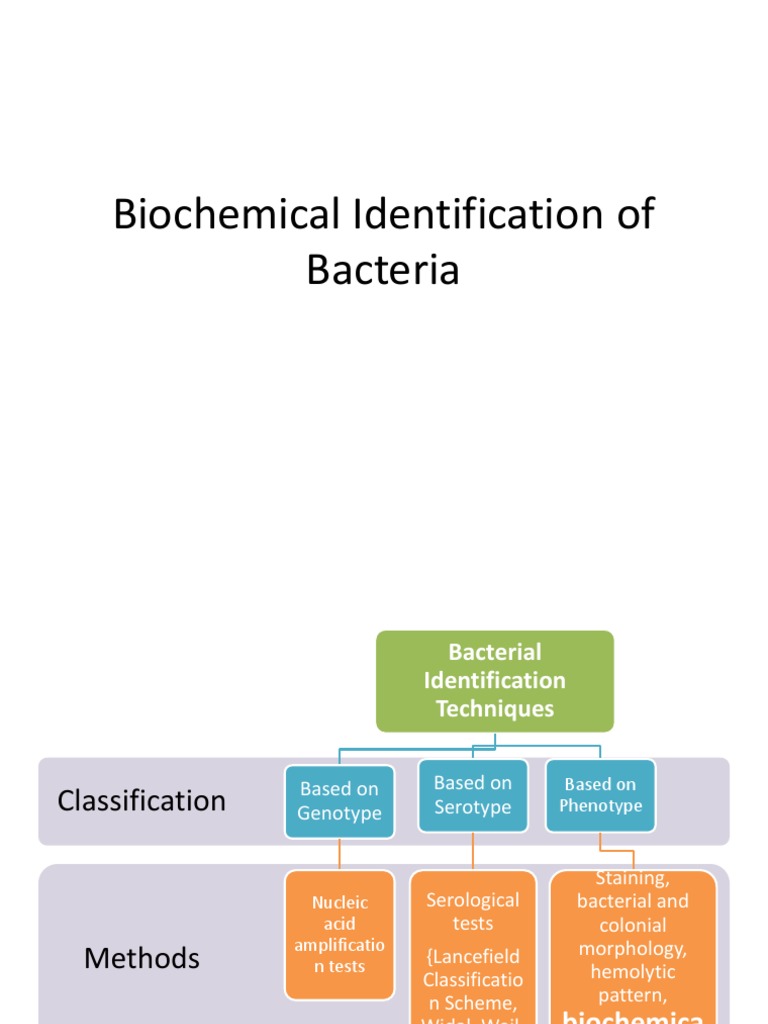 Biochemical Identification Of Bacteria Download Free Pdf