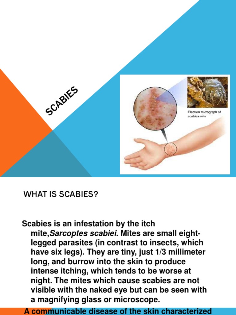 Scabies | PDF | Microbiology | Diseases And Disorders