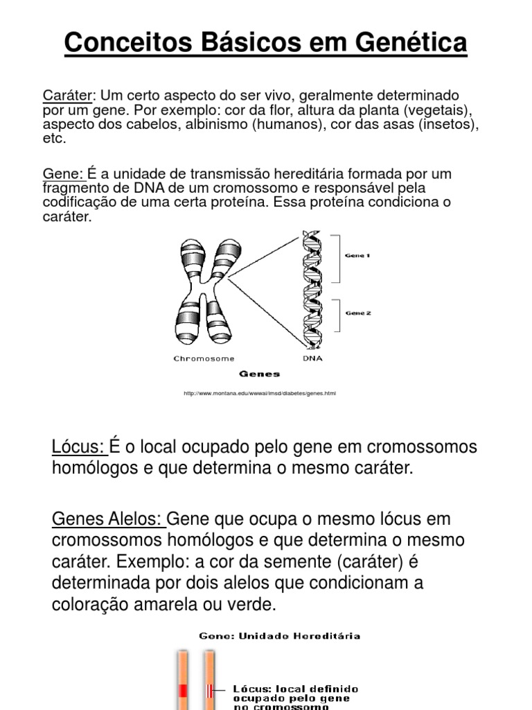 Conceitos Basicos em Genetica | PDF | Ciências da Vida | Genética