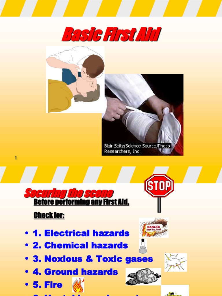 Basic First Aid | PDF