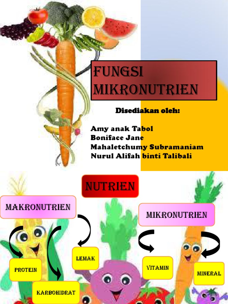 Kepentingan Mikronutrien