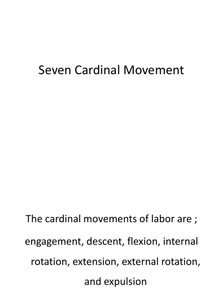 Seven Cardinal Movement | PDF | Pelvis | Anatomical Terms Of Motion