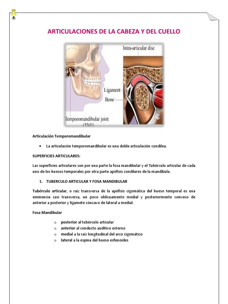 Articulaciones de La Cabeza y Del Cuello | PDF | La columna vertebral | Articulación