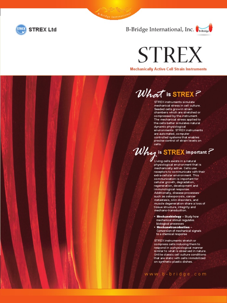 Strex Biaxial stretcher