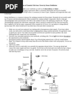 Step-by-Step Steam Distillation Guide | PDF | Distillation | Water