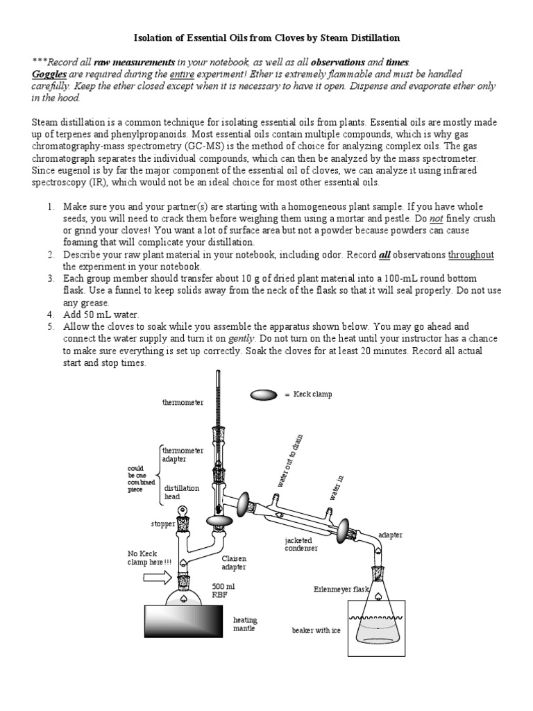 Clove Essential Oil Extraction Guide | PDF | Cooking, Food & Wine