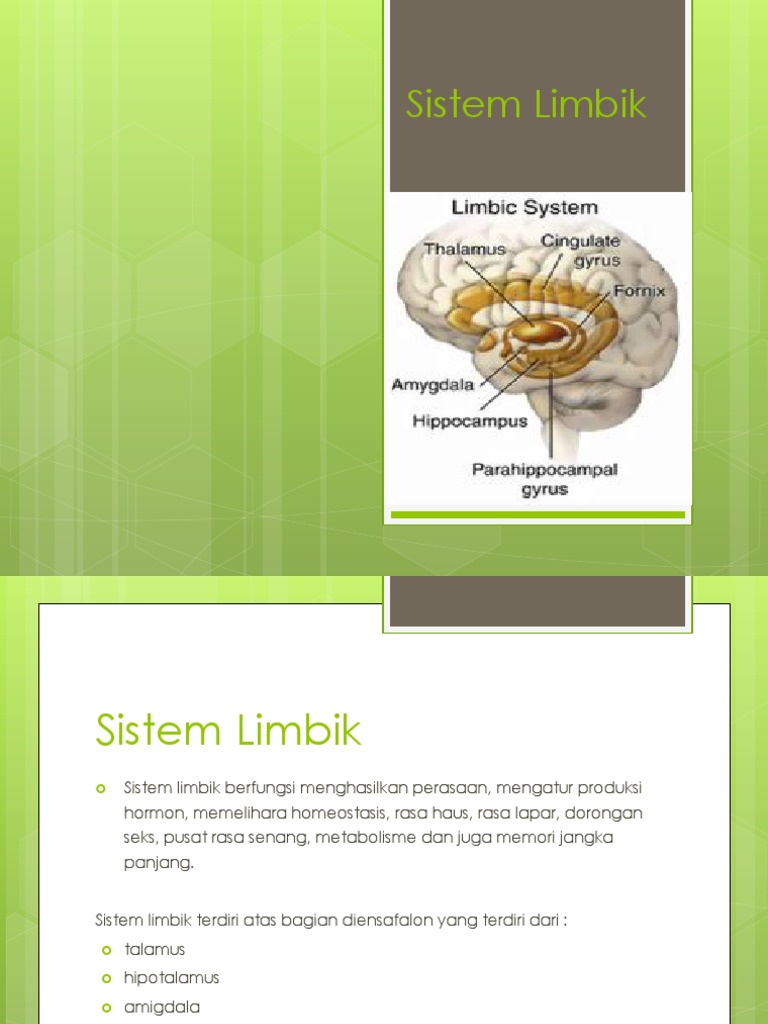 Sistem Limbik | PDF